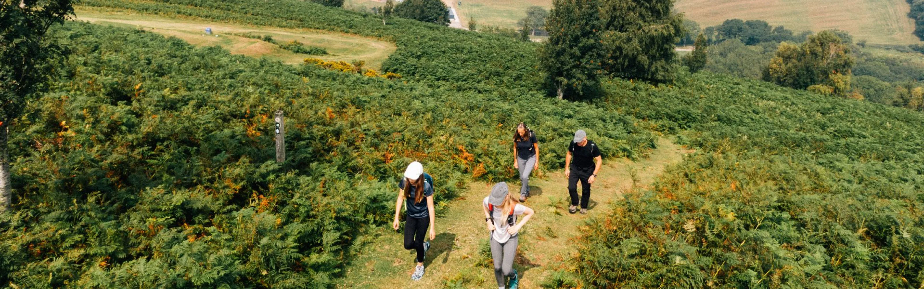 Guided and self-guided walking in Wales | Travel Trade Wales