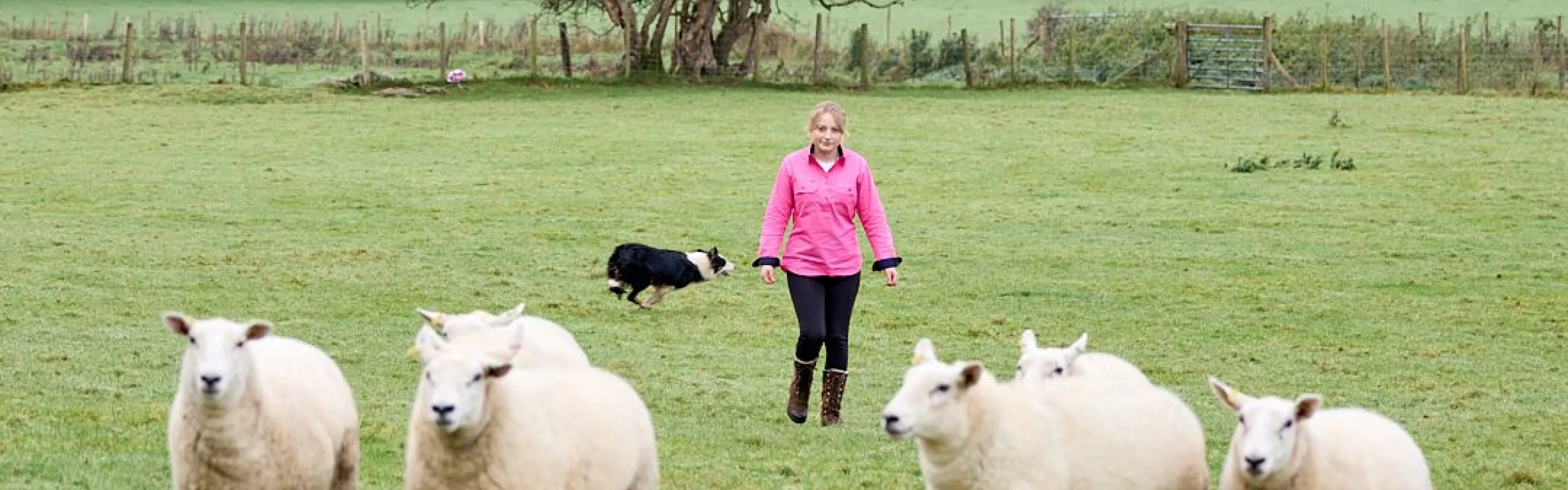 Pandy Farm group experiences | North Wales | Travel Trade Wales